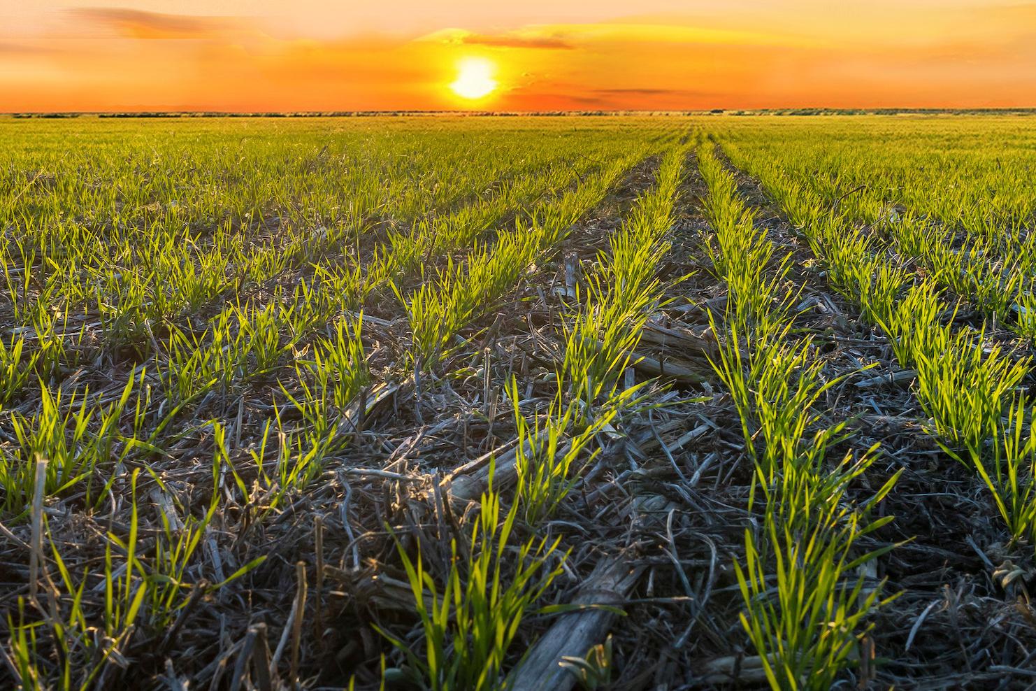 Sustainable Agriculture Comes Full Circle With Data Science Sustainable Agriculture Comes Full Circle With Data Science